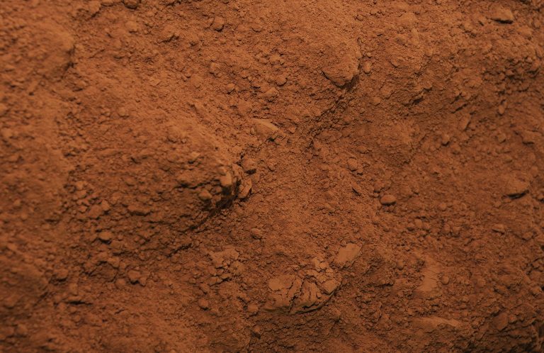 Our Cocoa Powder - JB Cocoa