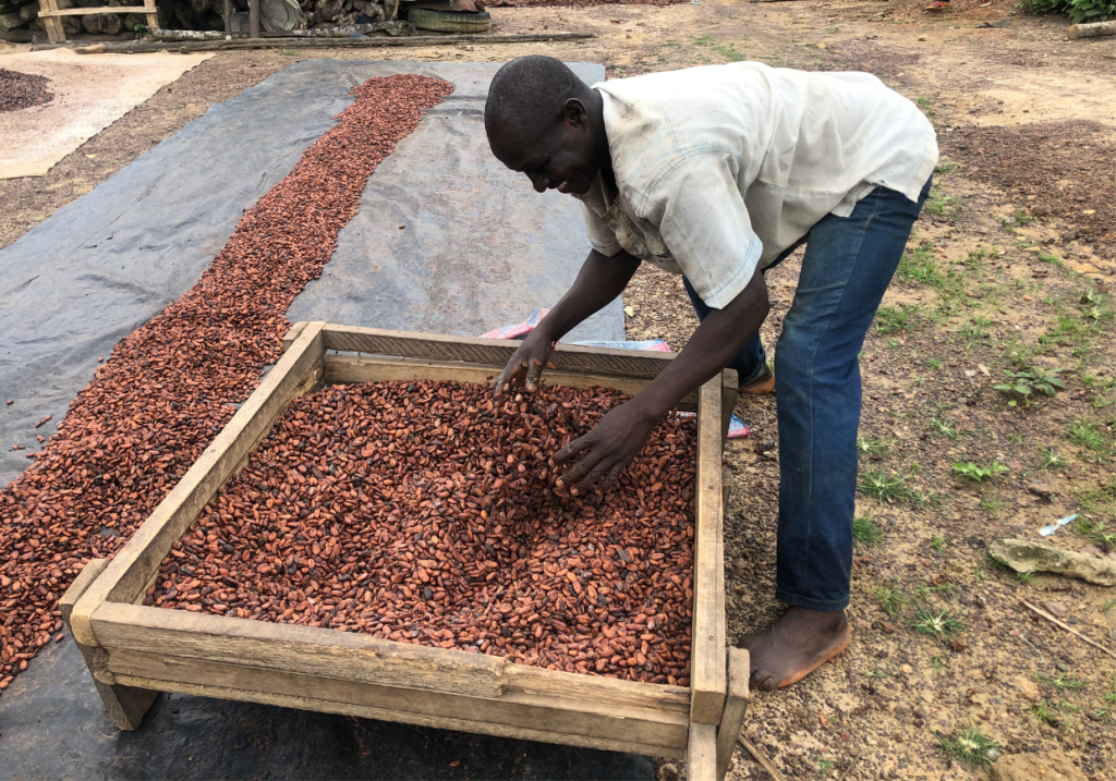 Commitments - JB Cocoa